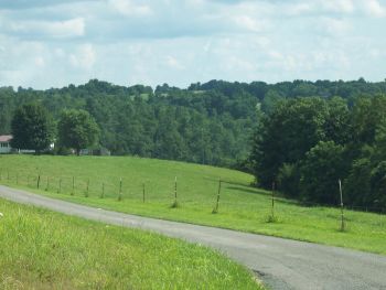 Golden Rule-Wilson Auction & Realty