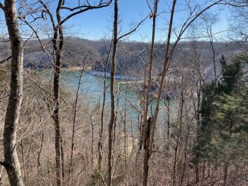 Golden Rule-Wilson Auction & Realty