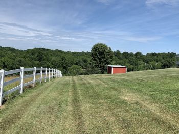 Golden Rule-Wilson Auction & Realty